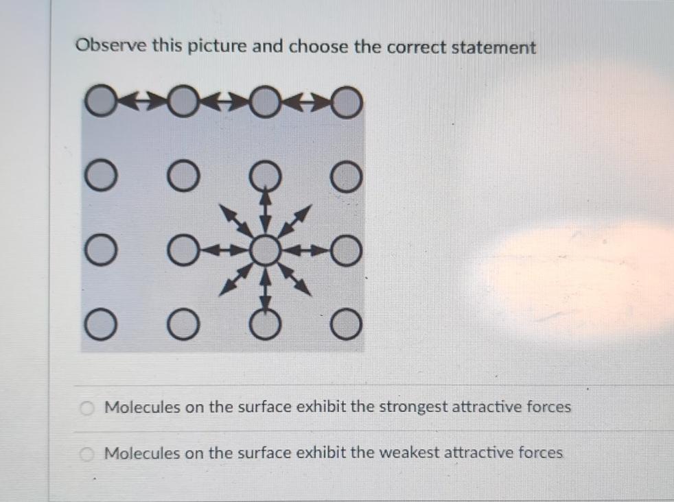 Solved Observe this picture and choose the correct | Chegg.com