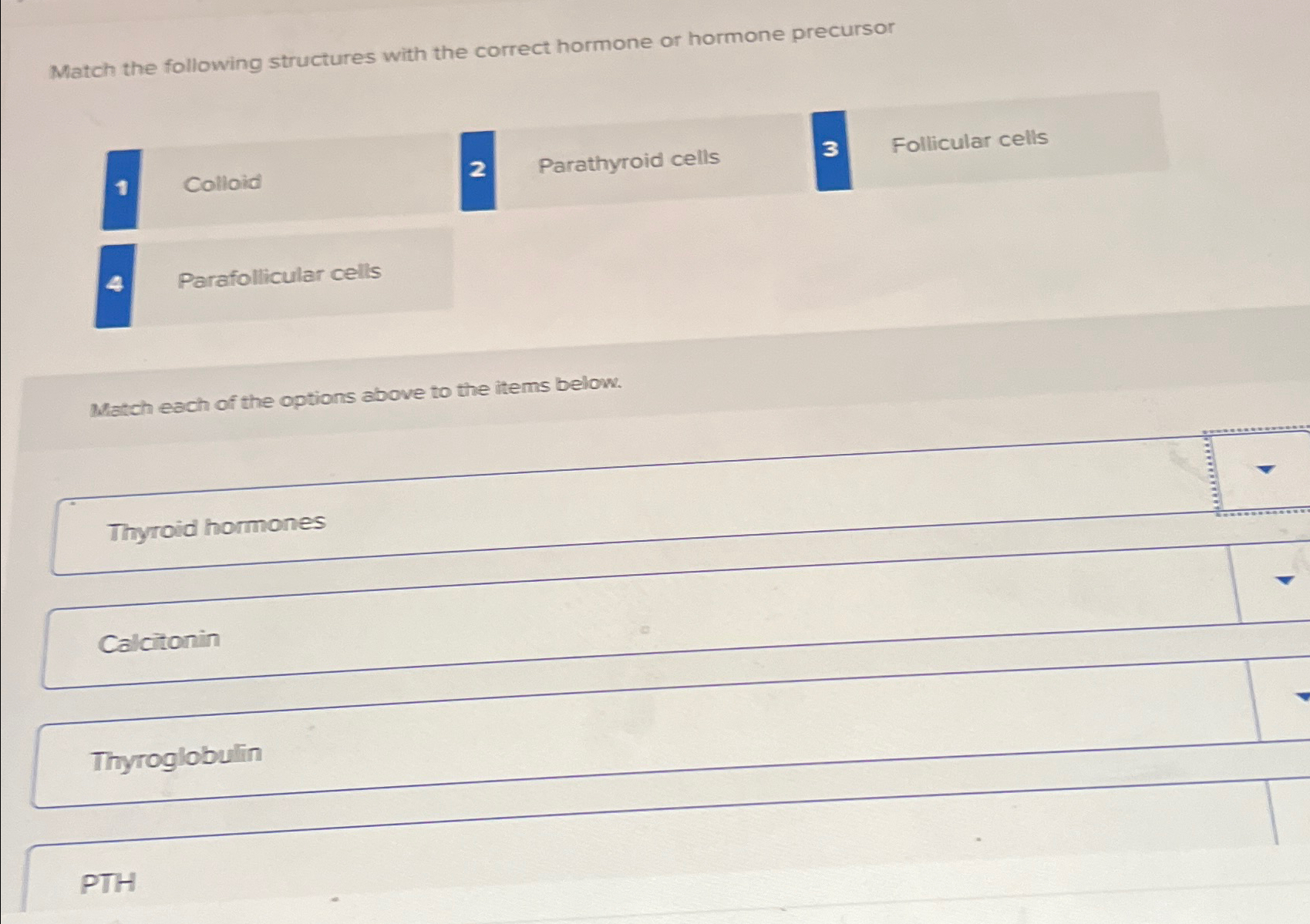 Solved Match the following structures with the correct | Chegg.com