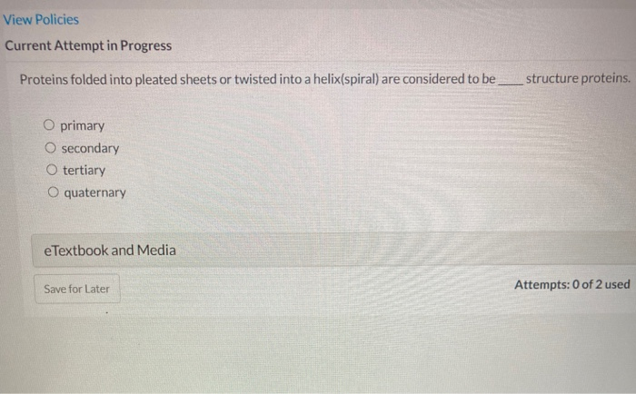Solved View Policies Current Attempt in Progress Proteins | Chegg.com