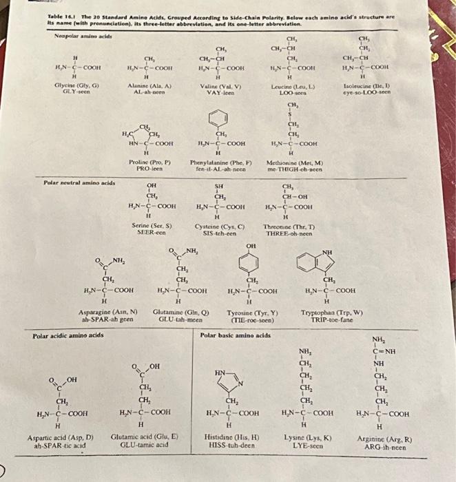 Solved Scan and upload the file. Refer to the Amino Acids | Chegg.com