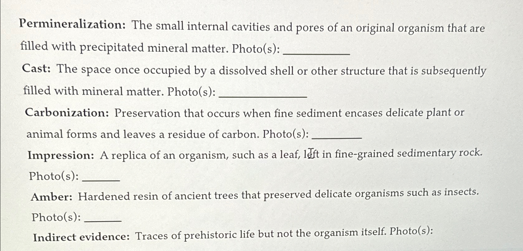 Solved Permineralization: The small internal cavities and | Chegg.com