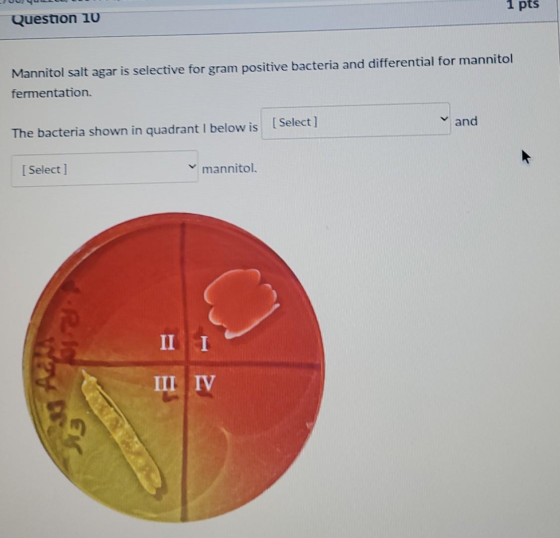 Solved 1 pts Question 10 Mannitol salt agar is selective for | Chegg.com