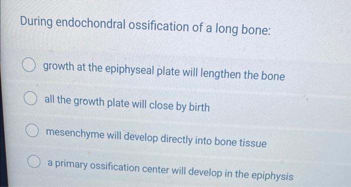 Solved During endochondral ossification of a long bone: | Chegg.com