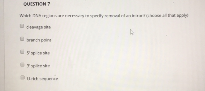 Solved What does the 5 prime cap on the mature mRNA consist | Chegg.com