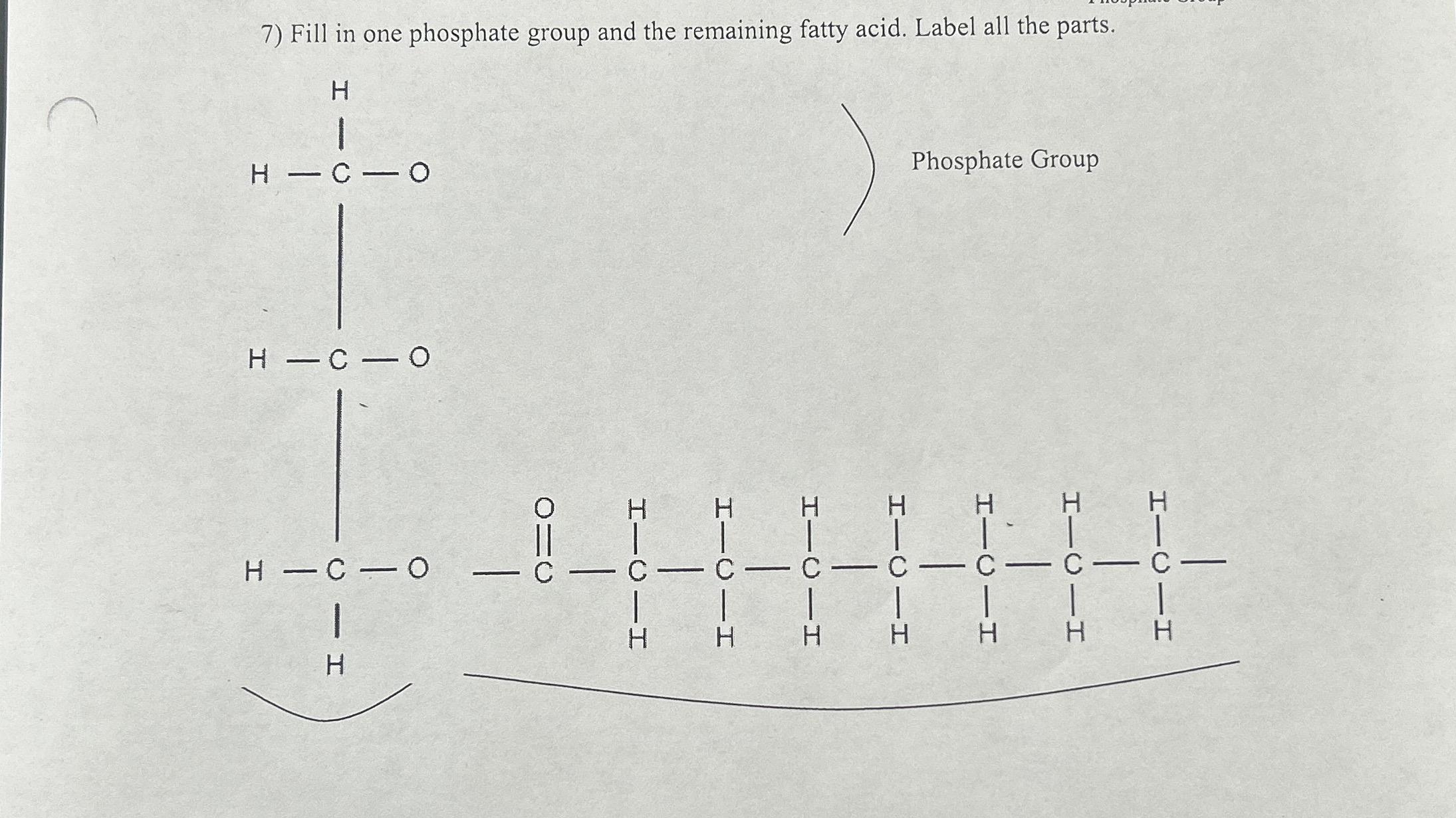 Solved Fill in one phosphate group and the remaining fatty | Chegg.com