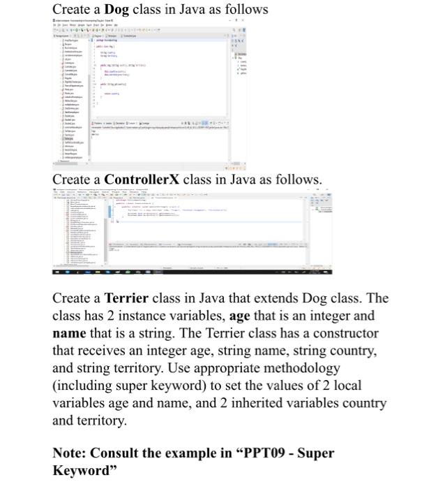 Solved Create a Dog class in Java as follows Create a | Chegg.com
