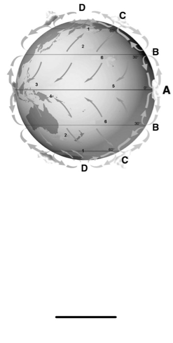 Solved The region of Earth receiving the Sun's direct rays | Chegg.com