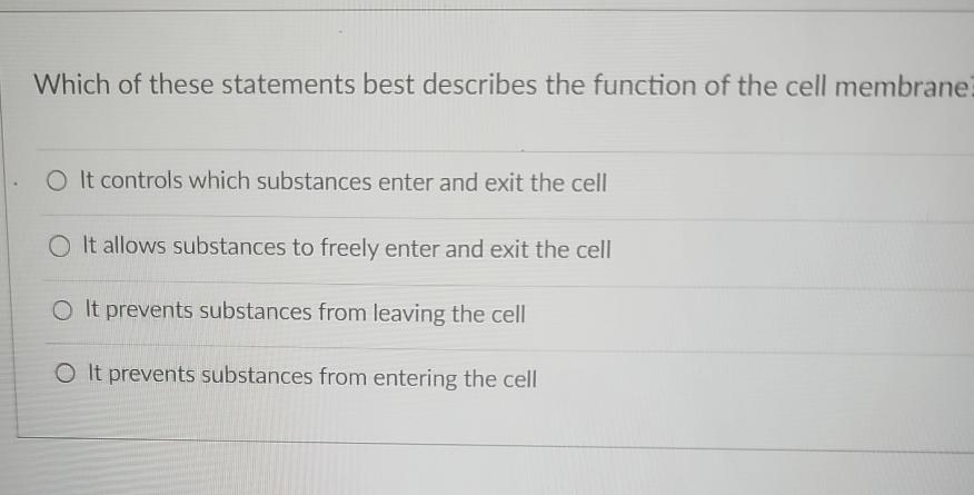 Solved Which of these statements best describes the function | Chegg.com