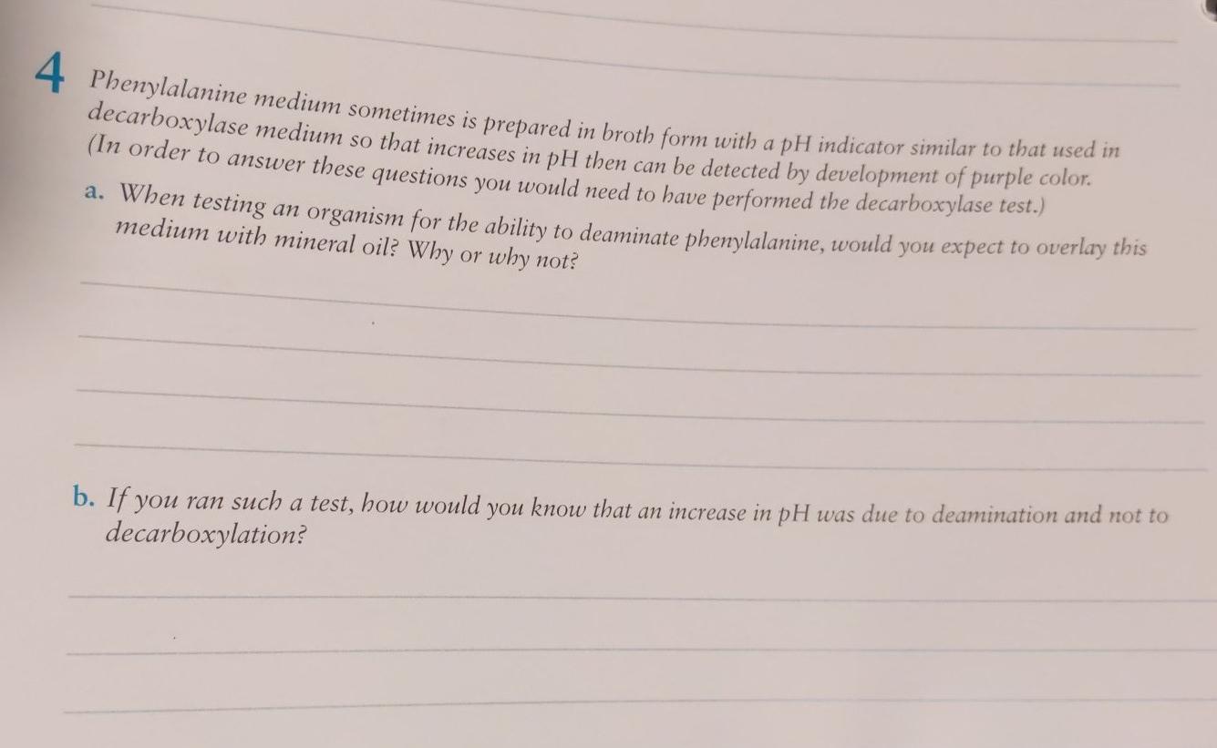 Solved 5-12 Phenylalanine Deaminase Test OBSERVATIONS AND | Chegg.com