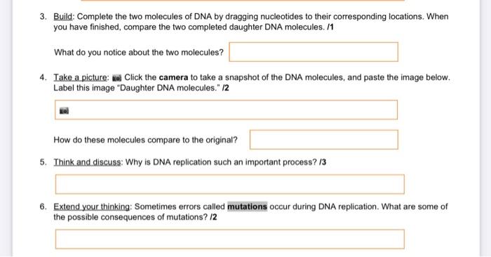Solved 3. Build: Complete the two molecules of DNA by | Chegg.com