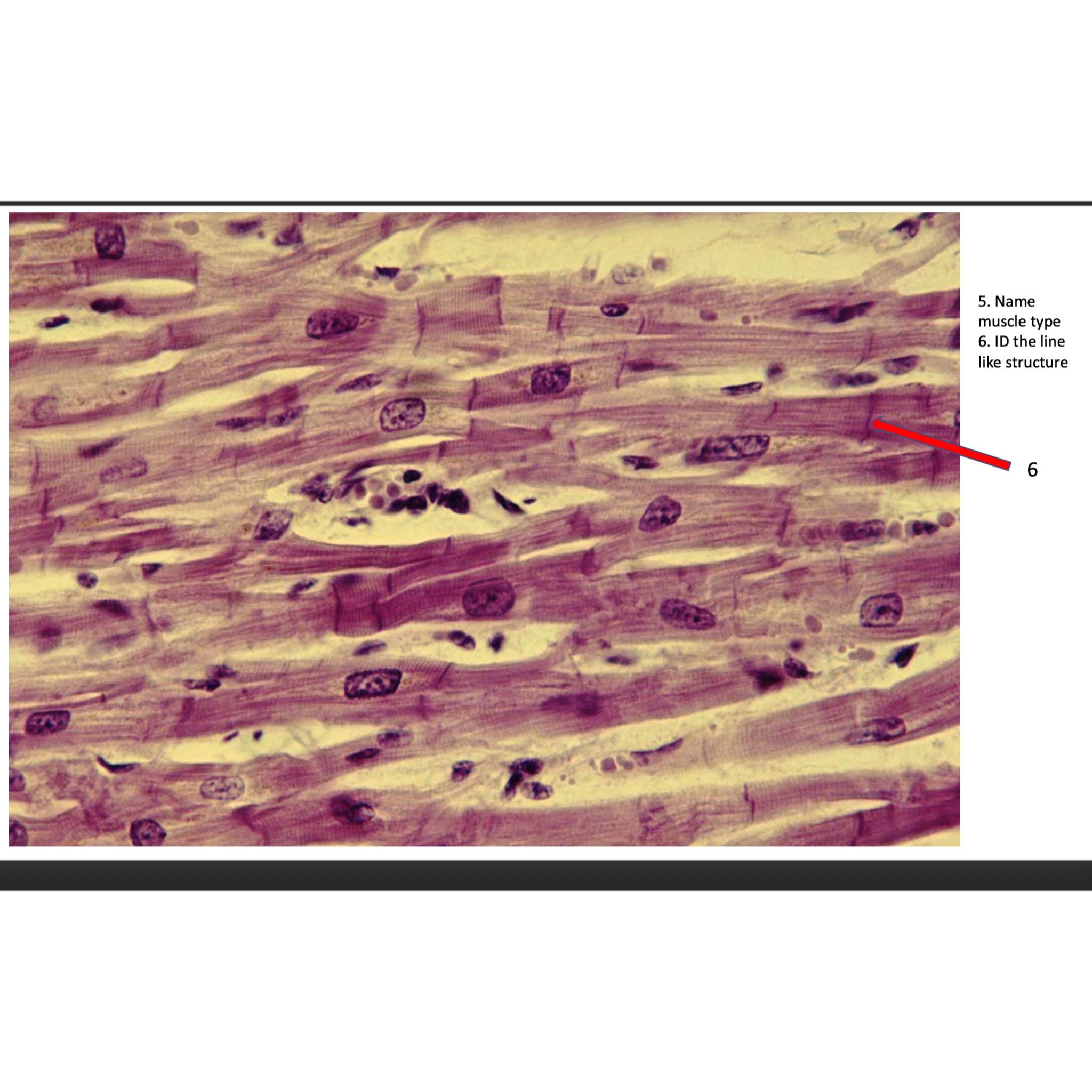 Solved Label parts | Chegg.com