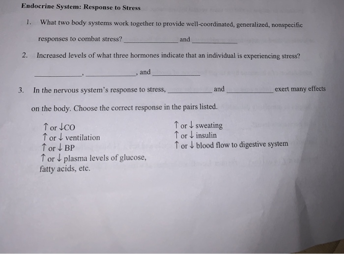 Solved Endocrine System Response To Stress 1 What Two Body Chegg
