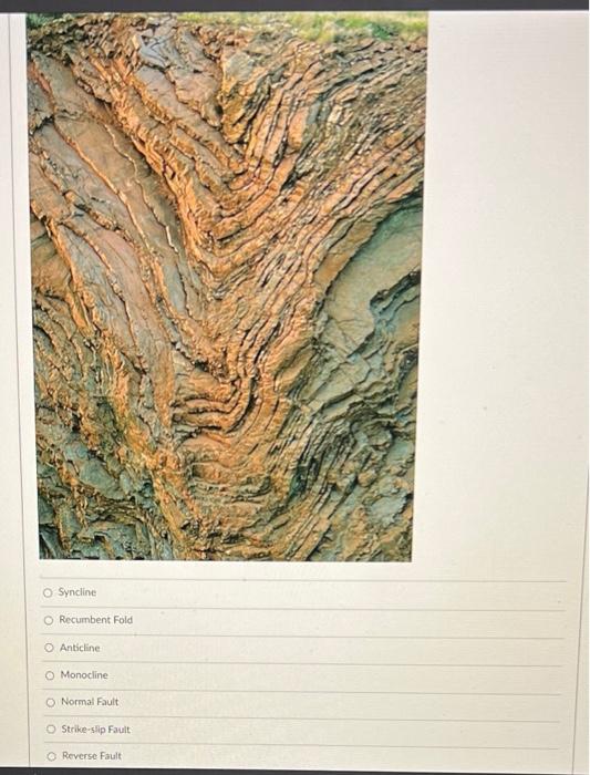 Solved Syncline Recumbent Fold Anticline Monocline Normal | Chegg.com