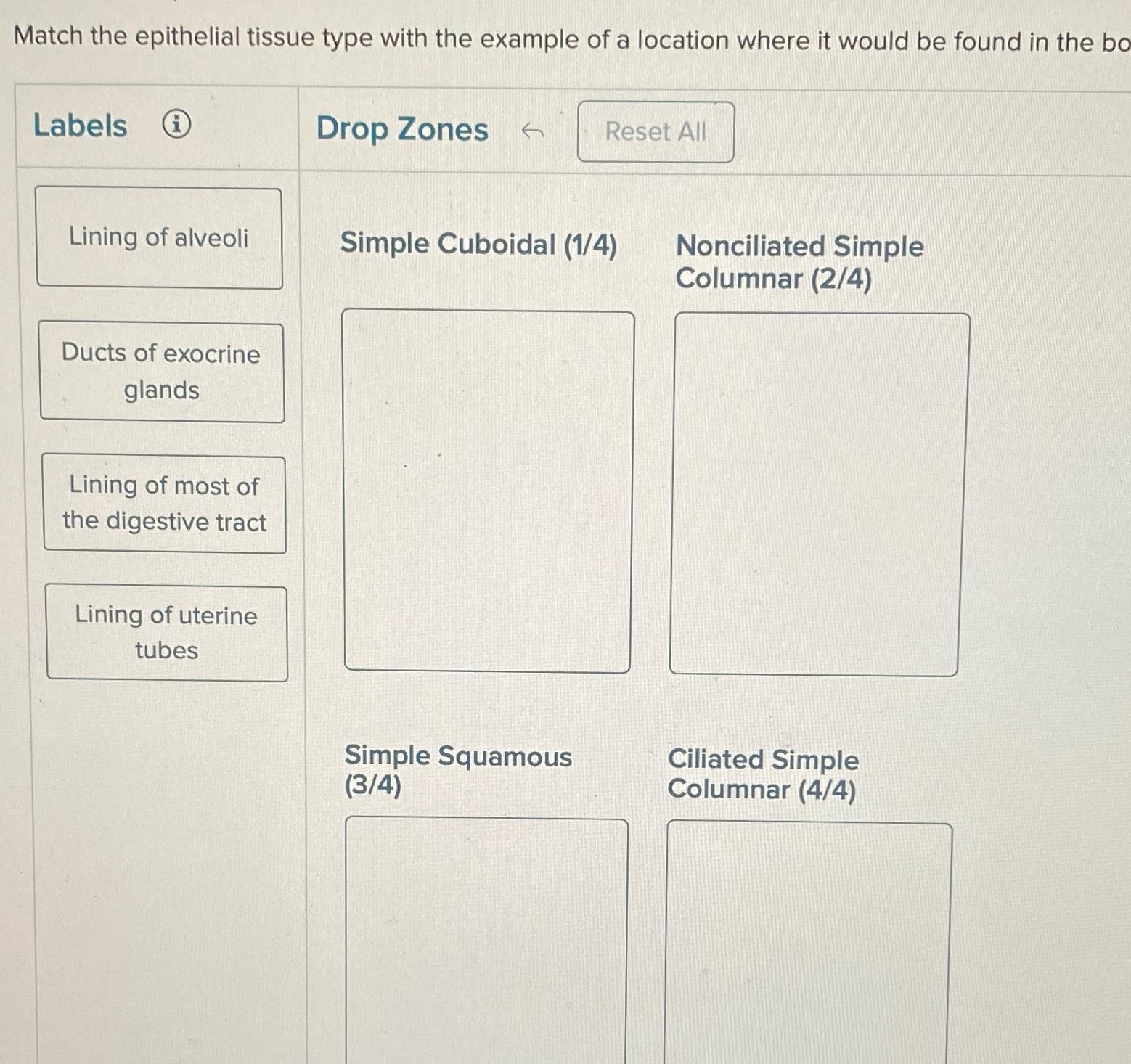 Solved Match the epithelial tissue type with the example of | Chegg.com
