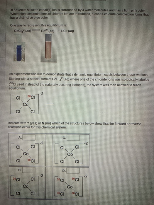 Solved In aqueous solution cobalt(I)ion is surrounded by 4 | Chegg.com