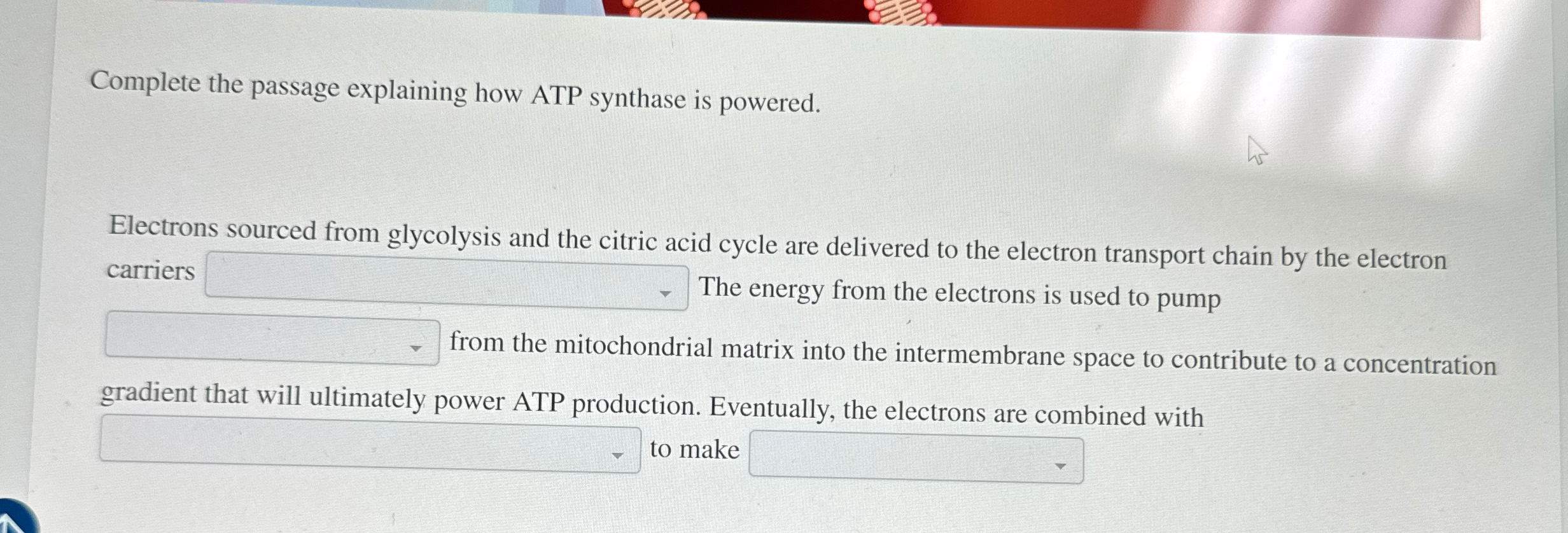 Solved Complete the passage explaining how ATP synthase is | Chegg.com