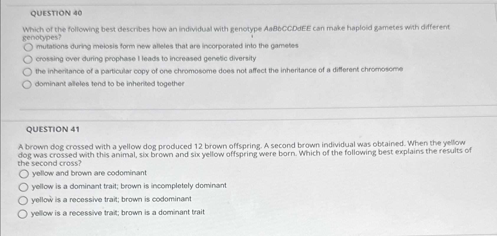 Solved QUESTION 40Which of the following best describes how | Chegg.com