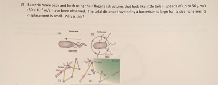 Solved Bacteria move back and forth using their flagella | Chegg.com