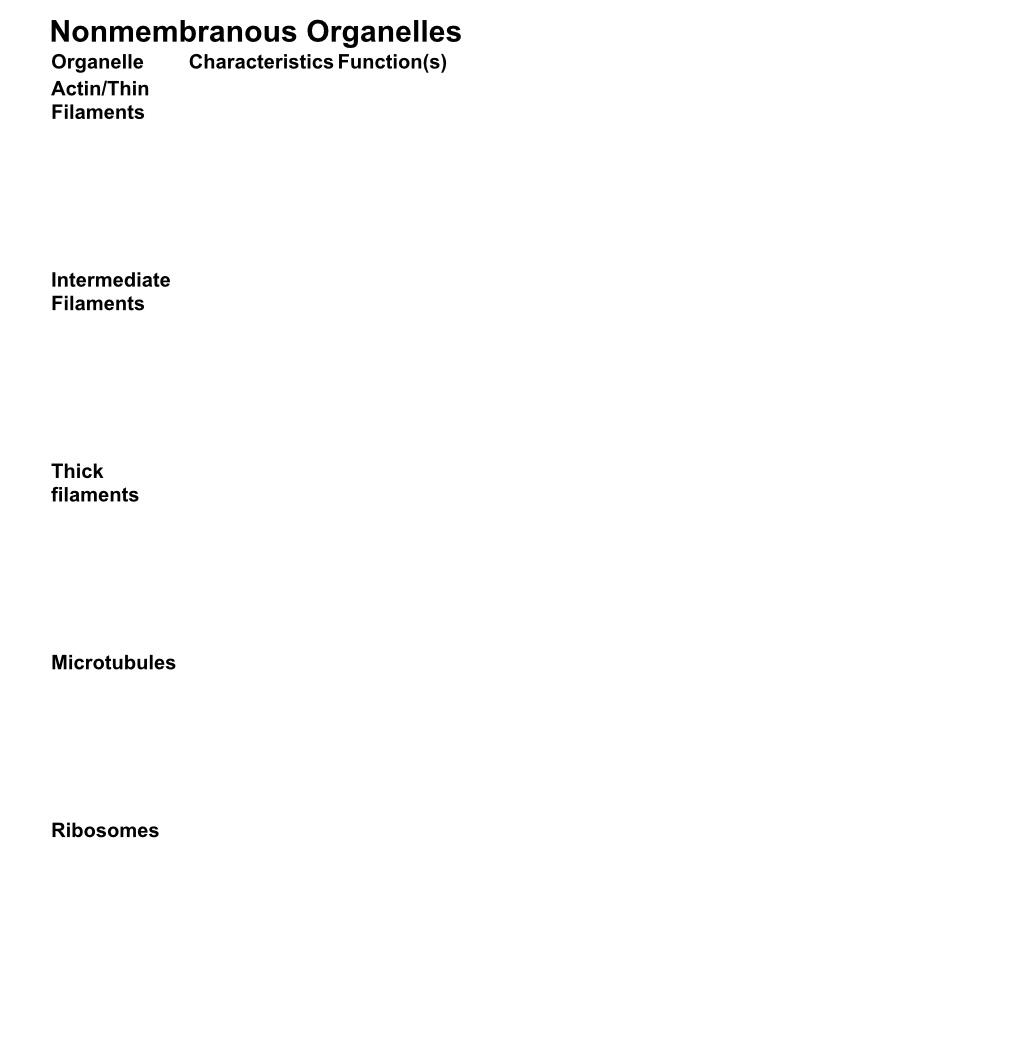 Solved Describe the anatomical and functional features of | Chegg.com