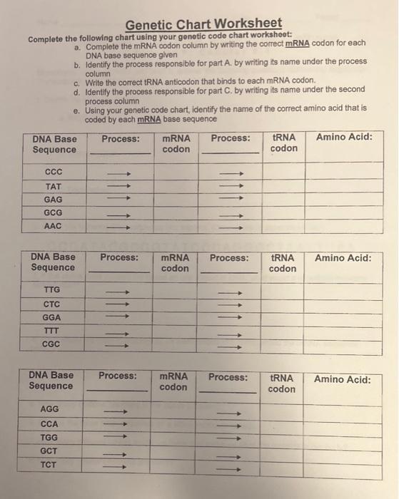 Solved GENETIC CODE WORKSHEET Given is a strand of DNA, fill | Chegg.com