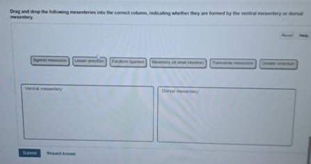 Solved Drag and drep the following mesenteries into the | Chegg.com