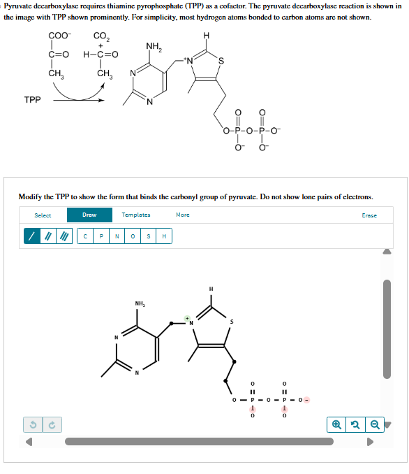 Solved Pyruvate decarboxylase requires thiamine | Chegg.com