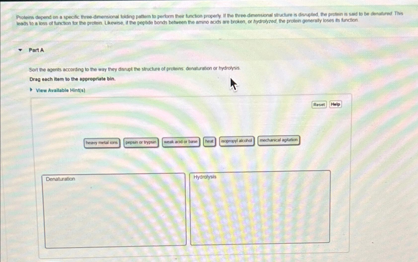 Solved Proteins depend on a specifc three dmensional folding | Chegg.com