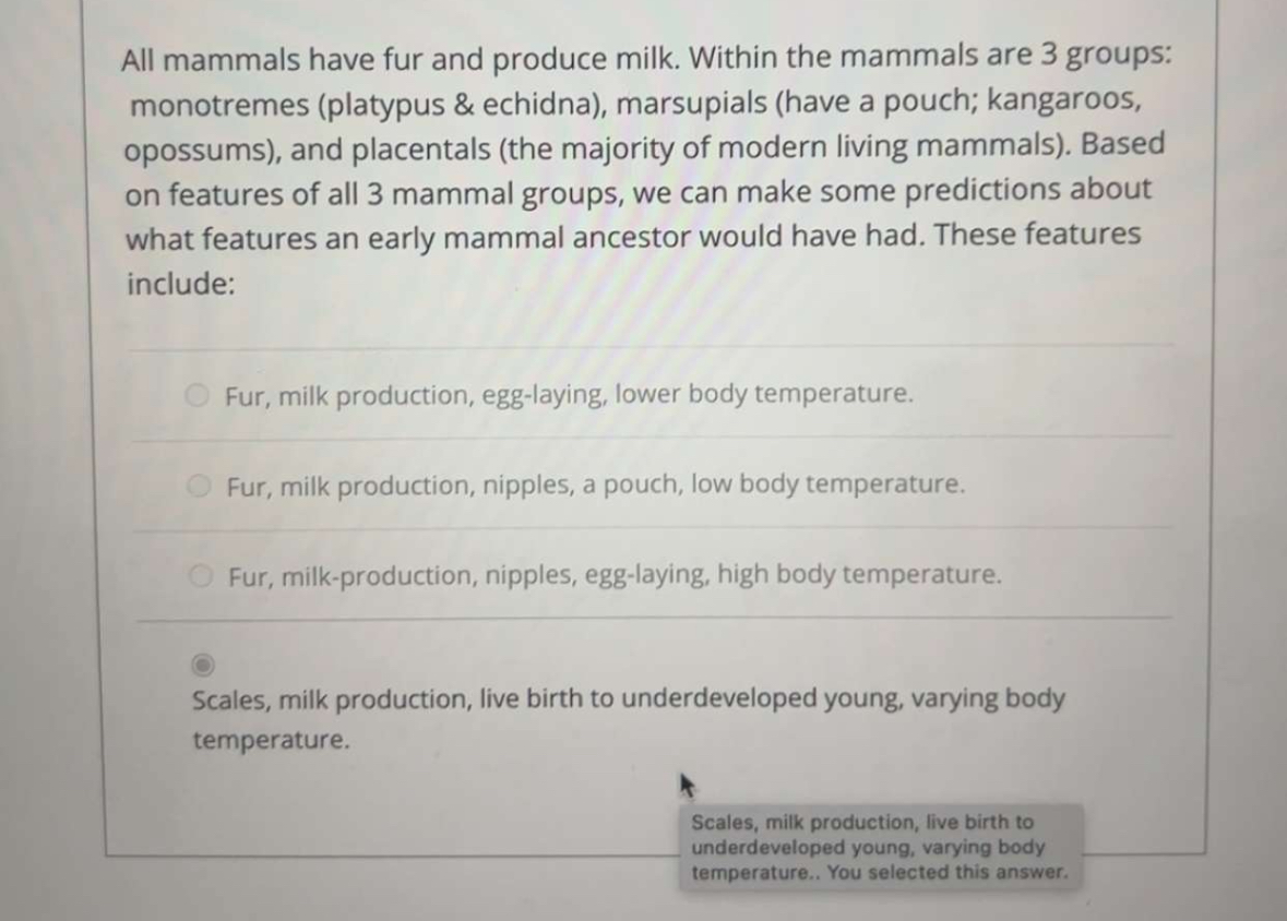 Solved All mammals have fur and produce milk. Within the | Chegg.com