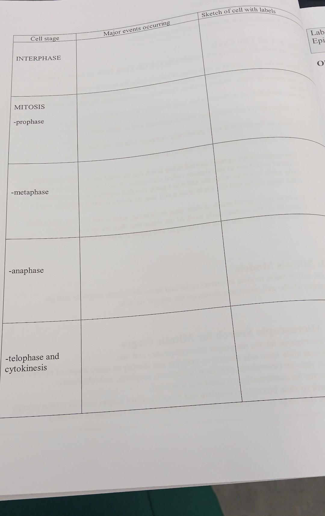 Solved Sketch of cell with labels \begin{tabular}{|c|} | Chegg.com
