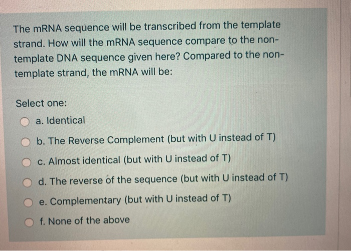 Solved Use the (non-template) DNA strand below to determine | Chegg.com