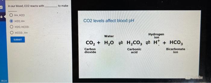 Solved In our blood, CO2 reacts with to make | Chegg.com
