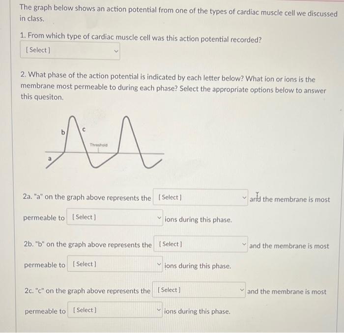 Solved The graph below shows an action potential from one of | Chegg.com