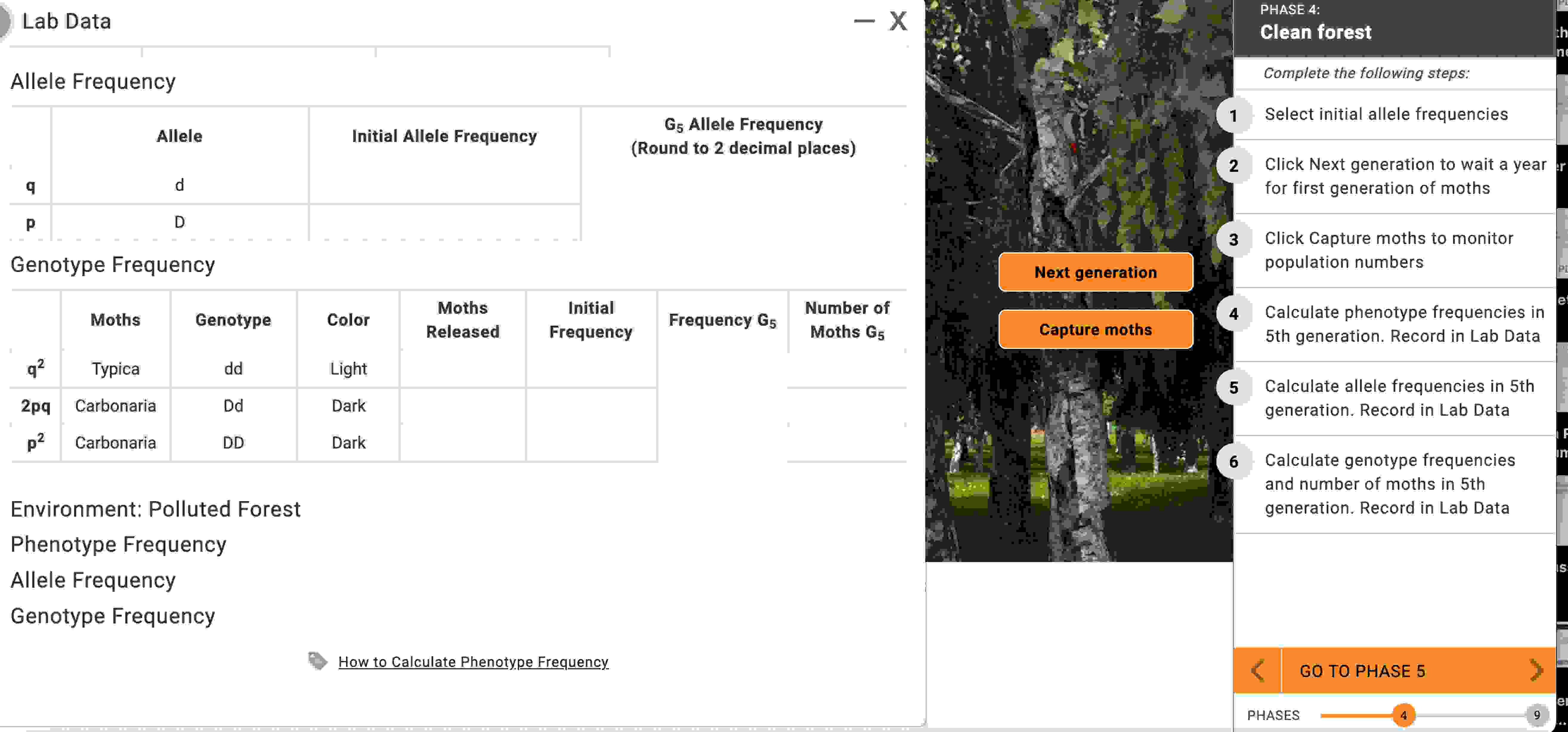 Solved Lab DataAllele FrequencyEnvironment: Polluted | Chegg.com