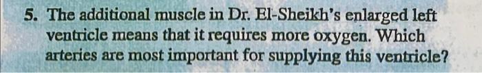Solved 5. The additional muscle in Dr. El-Sheikh's enlarged | Chegg.com