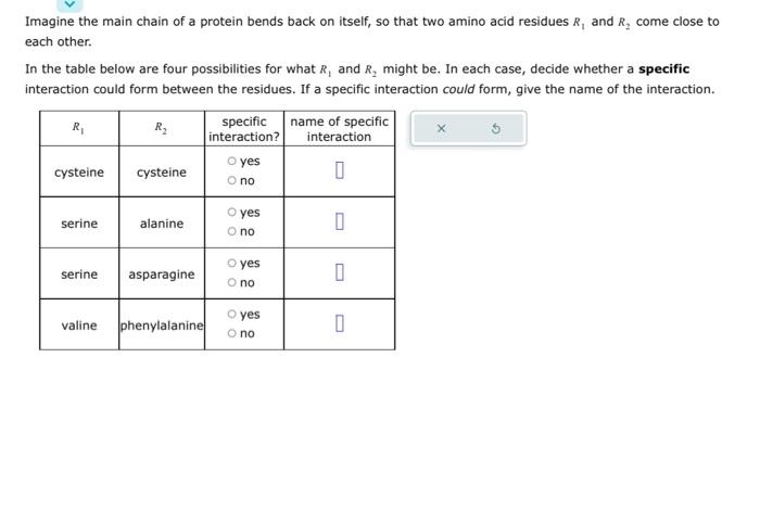 Solved Imagine the main chain of a protein bends back on | Chegg.com