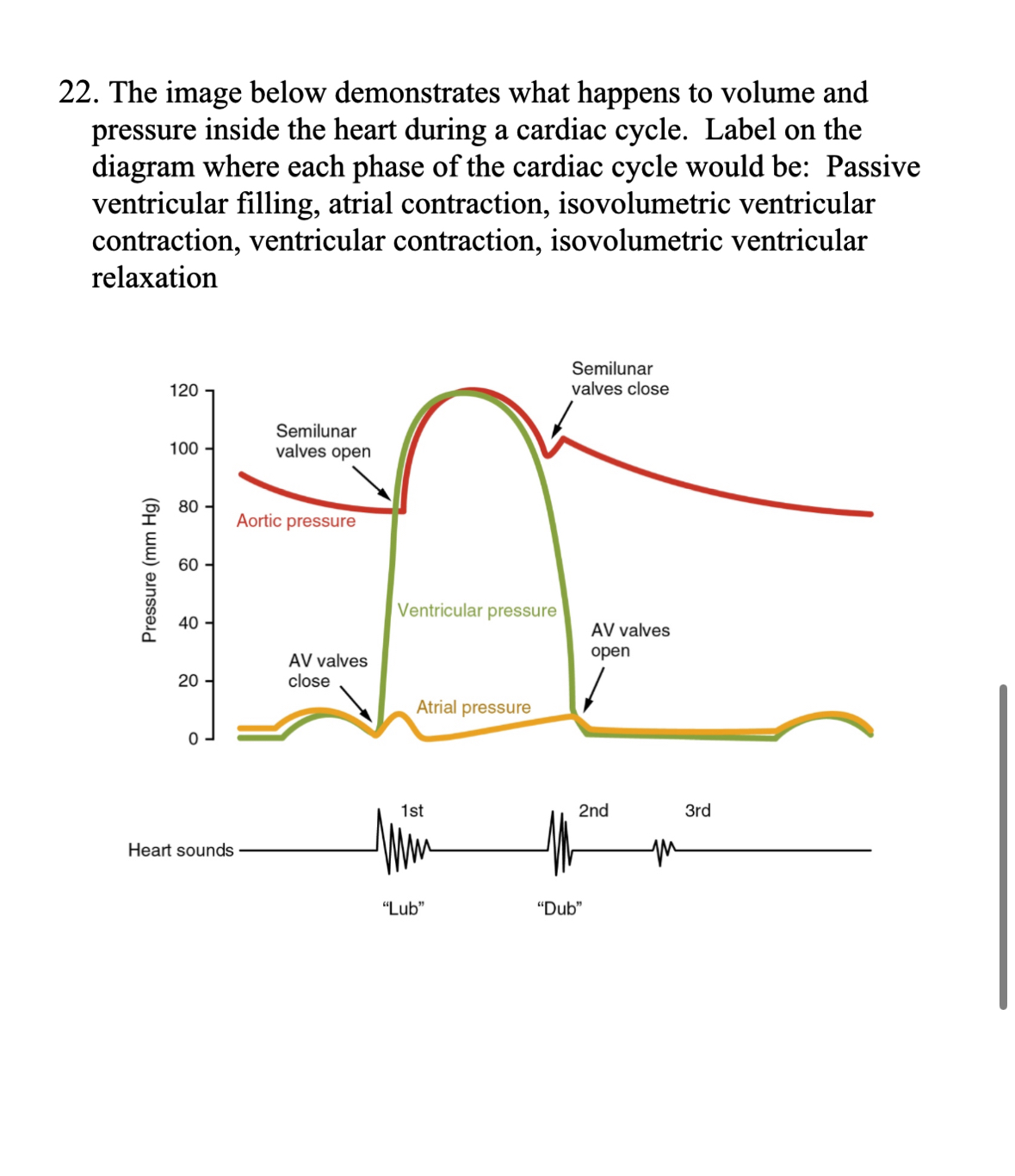 The image below demonstrates what happens to volume | Chegg.com