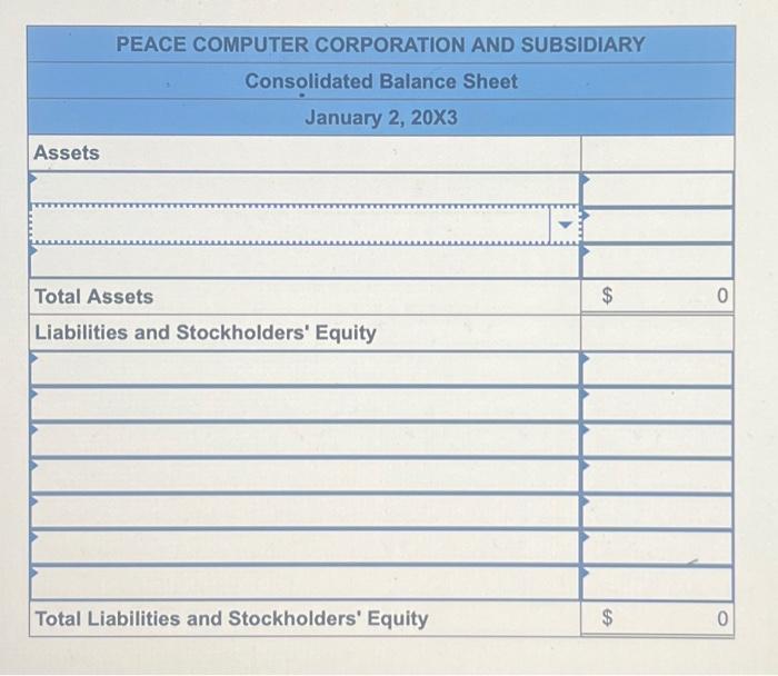 Solved Peace Computer Corporation acquired 90 percent of | Chegg.com
