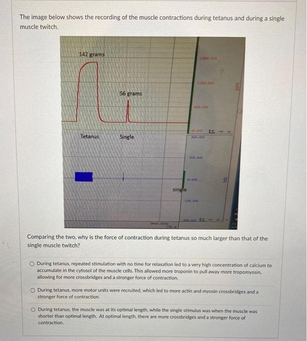 Solved The image below shows the recording of the muscle | Chegg.com