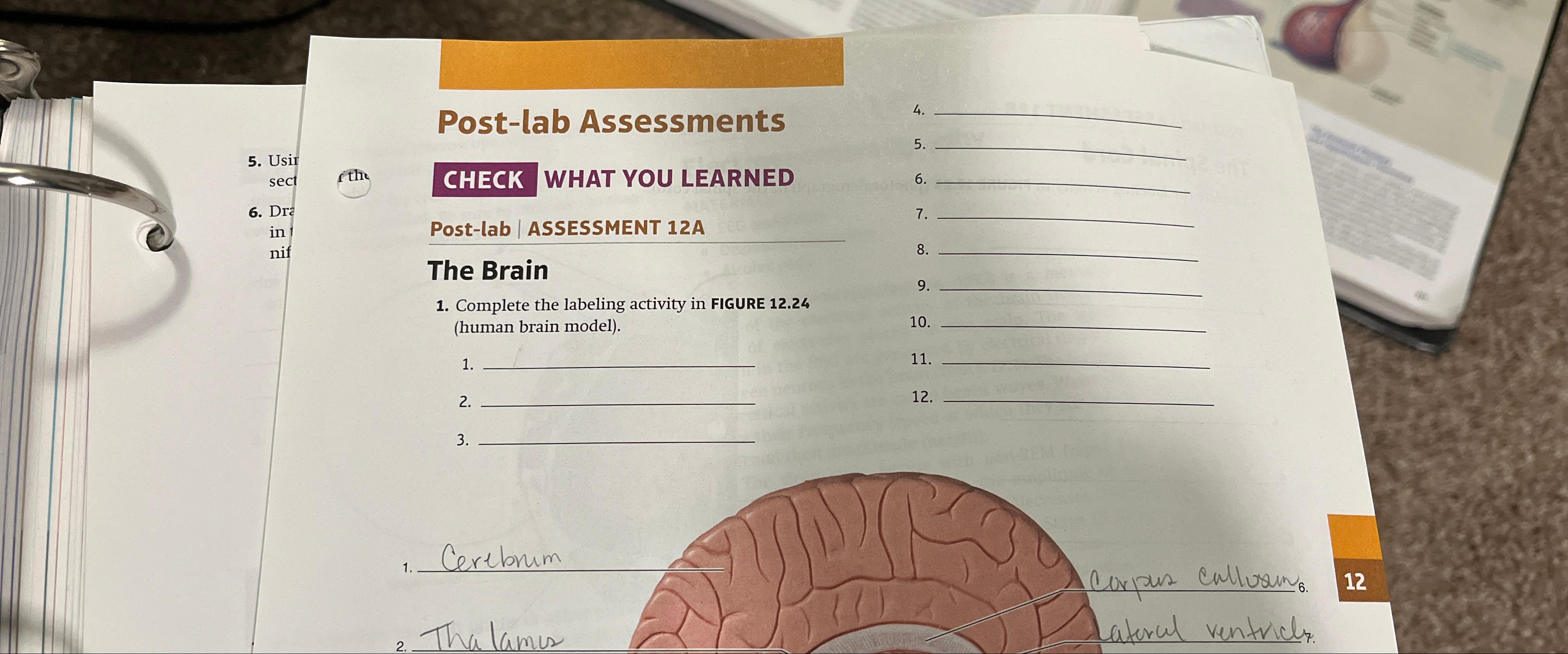 Solved Post-lab Assessments5. ﻿Usir sec6. ﻿Drthein 1 | Chegg.com