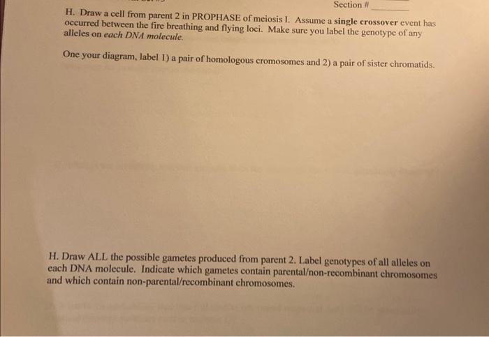 BIOL 2300 - Principles in Genetics Fall 2023 Problem | Chegg.com