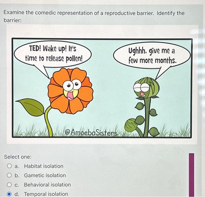 Solved Examine the comedic representation of a reproductive | Chegg.com