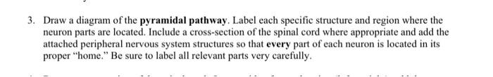 Solved 3. Draw a diagram of the pyramidal pathway. Label | Chegg.com