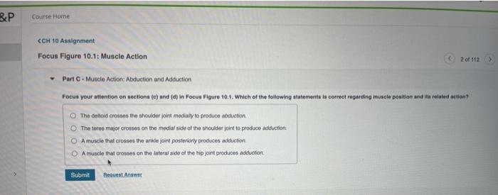 Solved &P Course Home | Chegg.com
