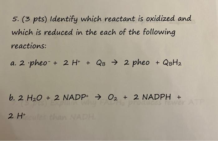 Solved 5. (3 pts) Identify which reactant is oxidized and | Chegg.com