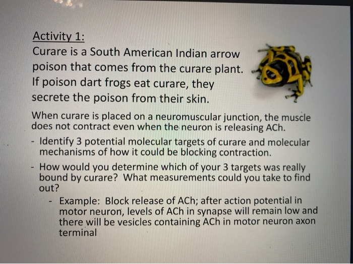 Solved Activity 1: Curare is a South American Indian arrow | Chegg.com