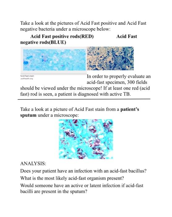 Solved Take a look at the pictures of Acid Fast positive and | Chegg.com