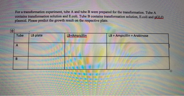 Solved For a transformation experiment, tube A and tube B | Chegg.com