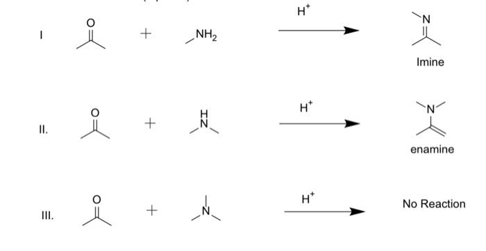 Solved When primary, secondary amines react with ketone, | Chegg.com