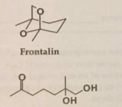 Solved Show the mechanism for the following transformation | Chegg.com
