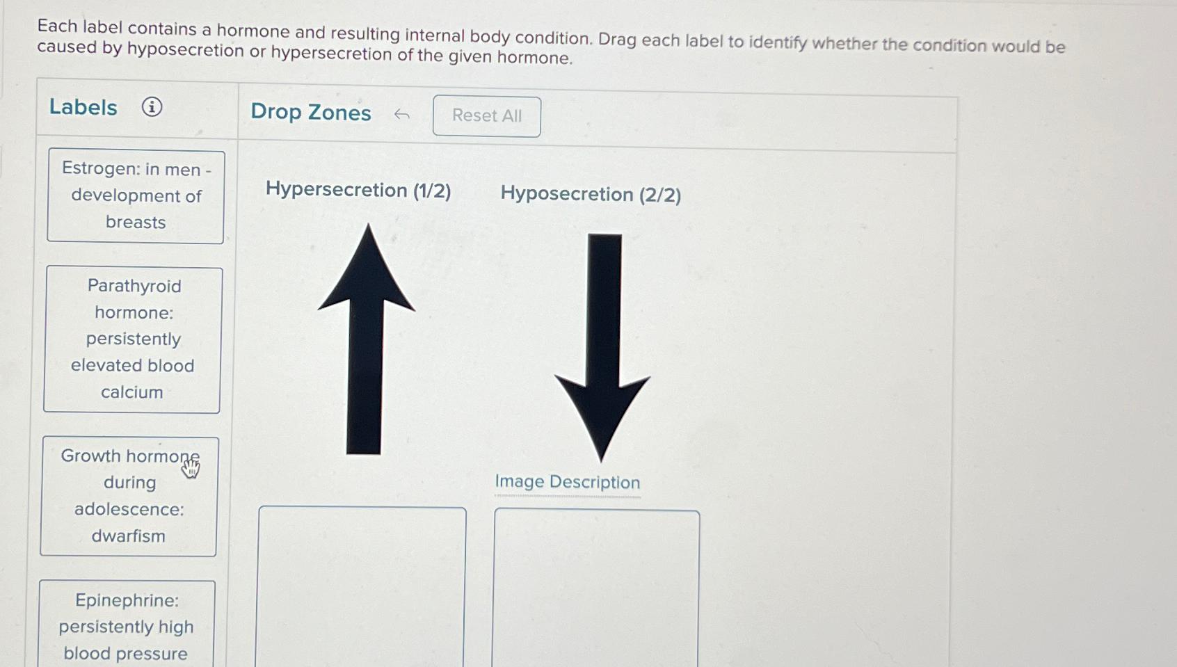 Solved Each Label Contains A Hormone And Resulting Internal